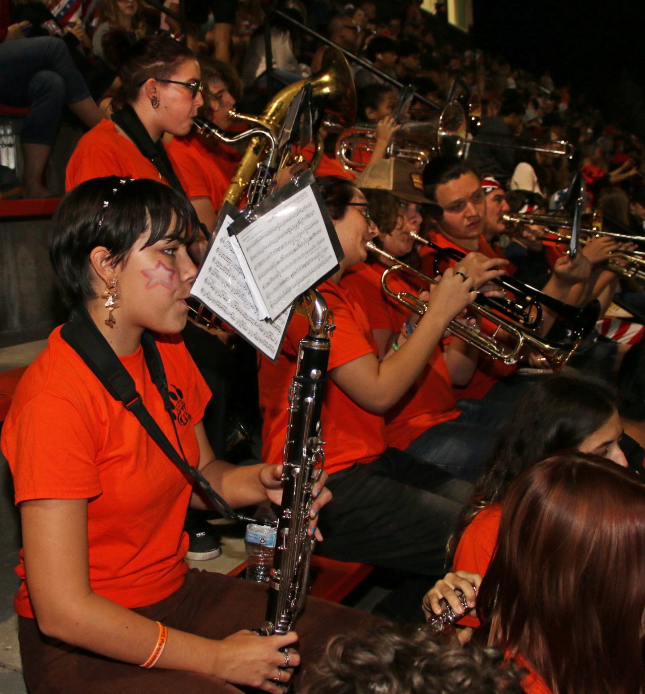 Connections Visual & Performing Arts Academy | Summerville Union High ...