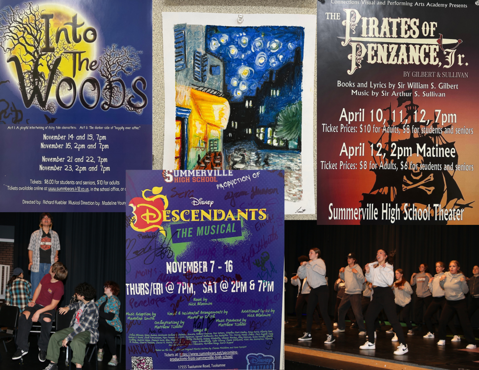 Connections Visual & Performing Arts Academy | Summerville Union High ...